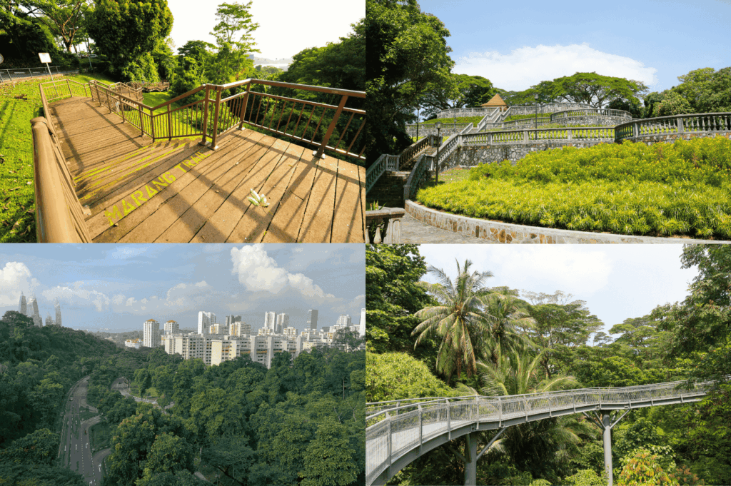 Southern Ridges Singapore: Complete Hiking Guide (2025)